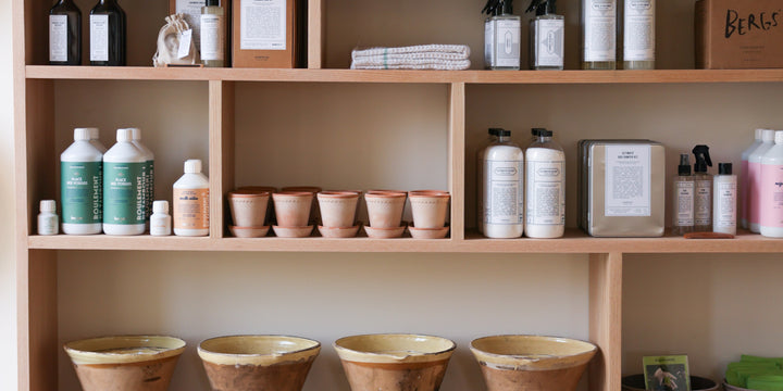 Roman Soap Dish – Viand Mercantile